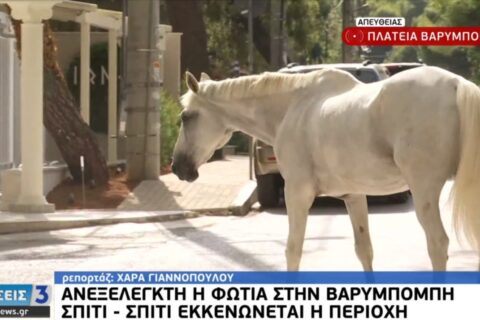 Άρθρα με ετικέτα: ΑΛΟΓΑ - Enimerotiko.gr